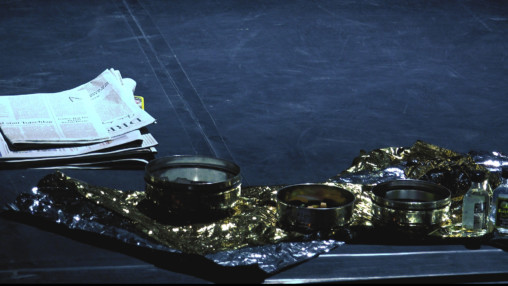 Rauschkörper – GETANZTES Michaela Schubert